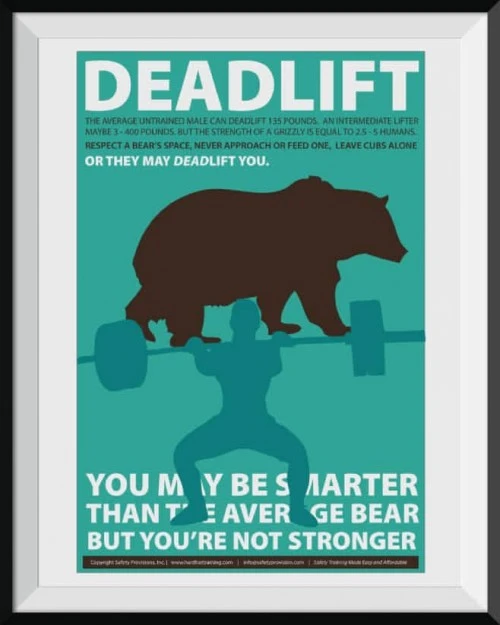 Bear Awareness Poster - Bear Deadlift | Hard Hat Training