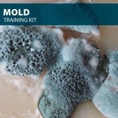 Mold Training & Certification | $399 | Built for Canada | Reusable